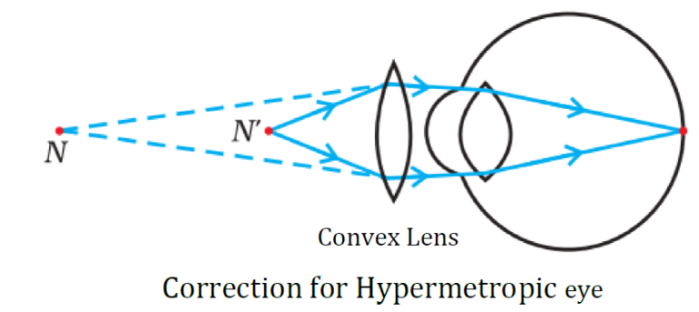 NCERT Solutions for Class 10 Science Chapter 10 Human Eye and Colourful ...